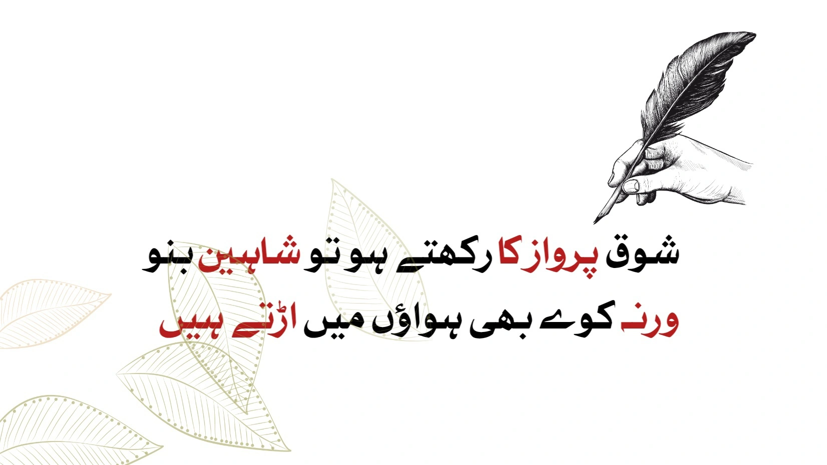 Best Attitude Poetry In Urdu 2 Lines Text - Boys Attitude Shayari